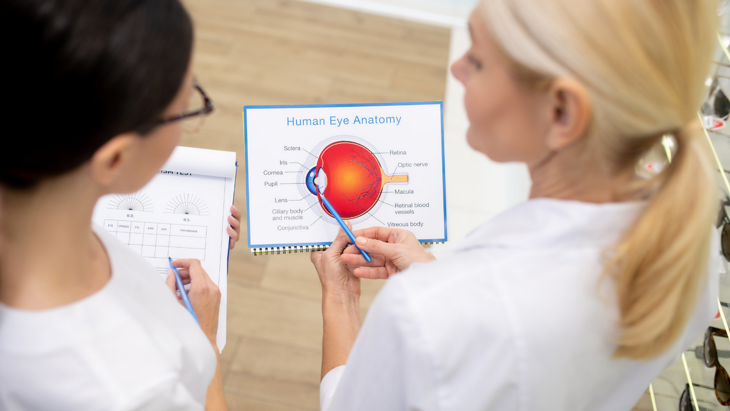 See Clearly: A Guide to Common Vision Terms and Eye Anatomy | Focus ...